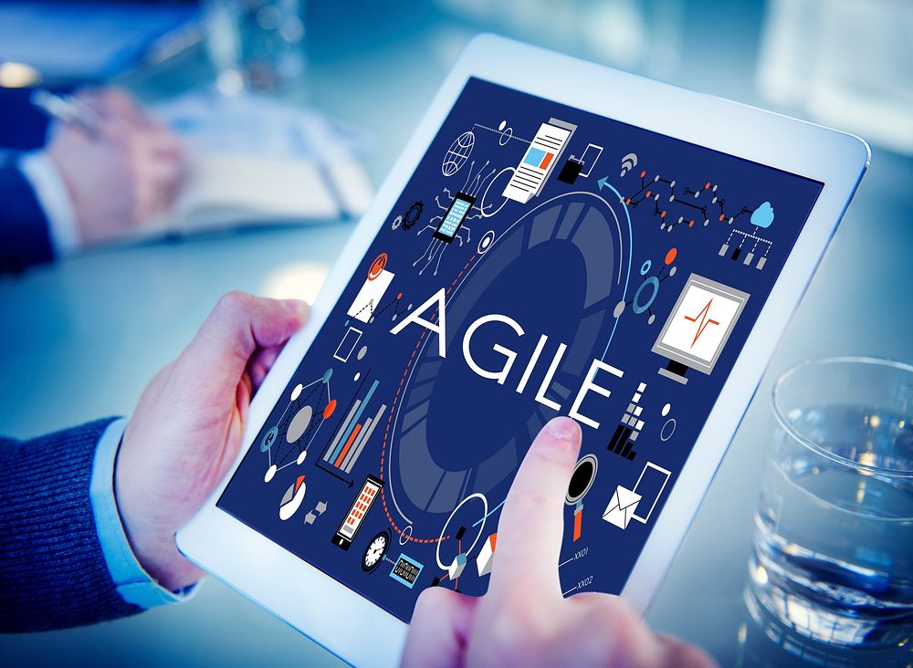 Agile Agility Nimble Quick Fast | Free Photo - rawpixel