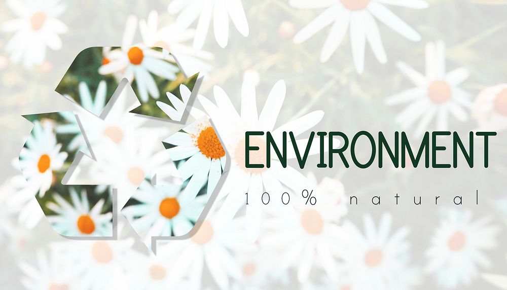 Recycle Environmental Conservation Nature Ecology | Free Photo - rawpixel