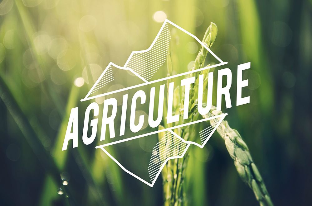 Alternative Farming Sustainable Nature Concept | Free Photo - rawpixel