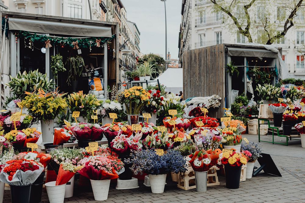 Fresh spring flowers street | Premium Photo - rawpixel