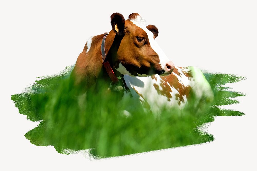 Cow on a meadow | Premium PSD - rawpixel
