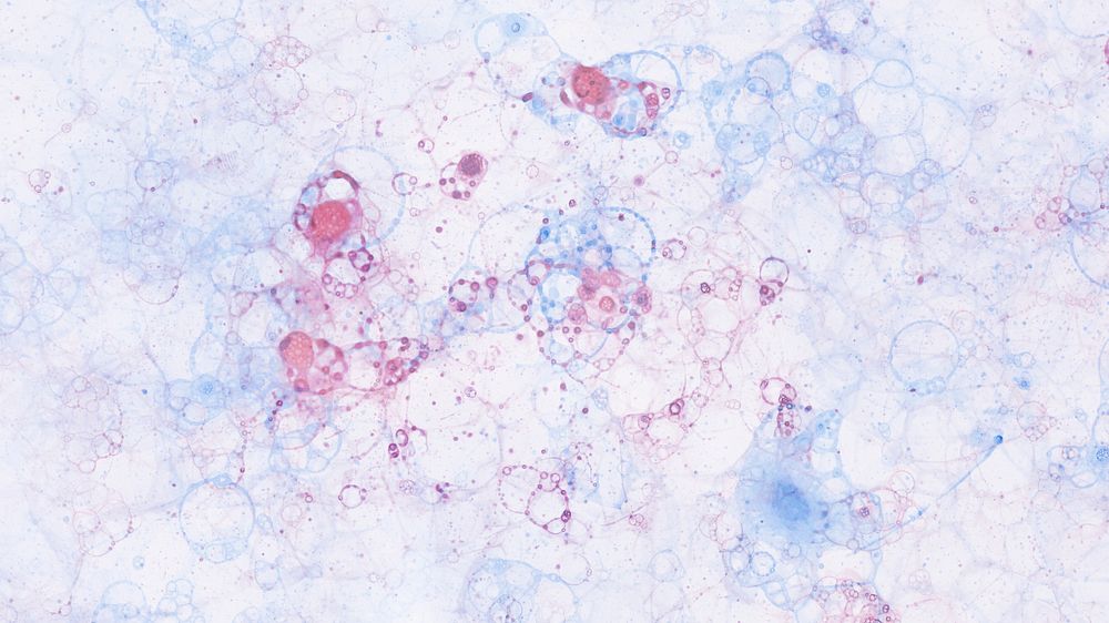 Blue and red bubble art | Free Photo - rawpixel