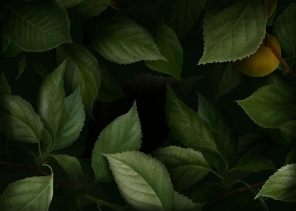 Briançon apricot leaf pattern background | Premium Vector - rawpixel