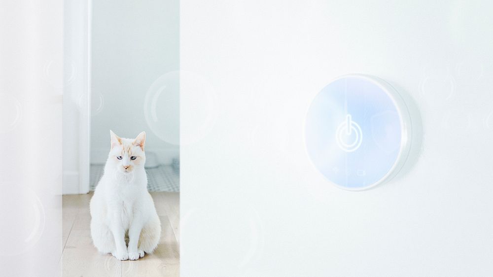 Smart pet and smart home | Premium Photo - rawpixel
