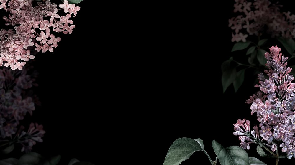 Lilac flower black presentation background | Free Photo - rawpixel