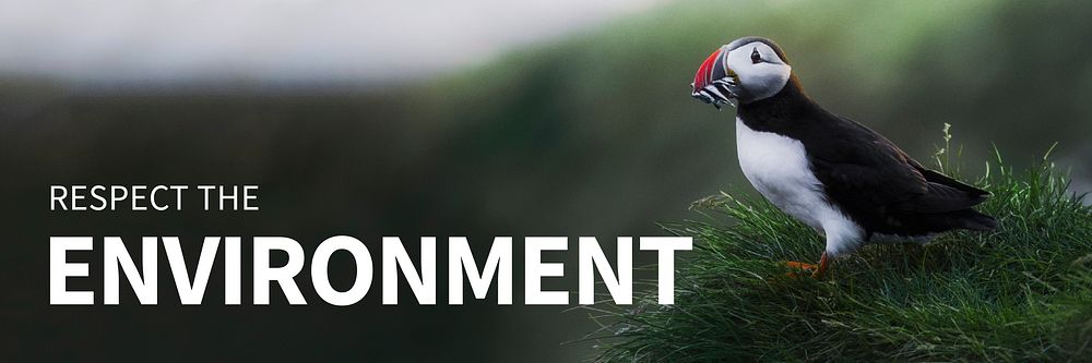 Environment banner respect environment quote | Free Photo - rawpixel