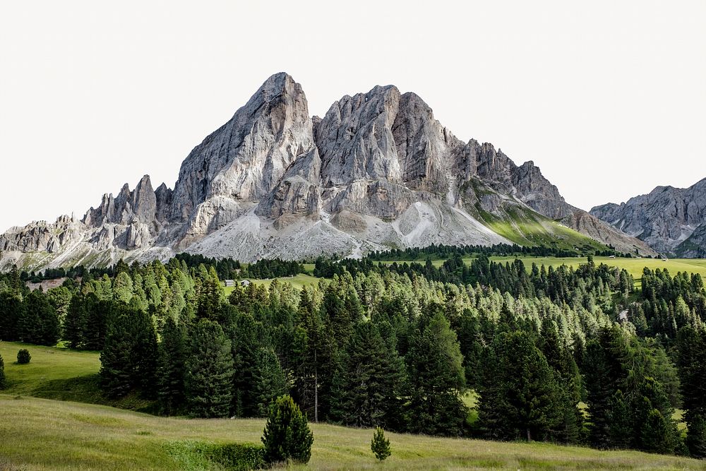 Green forest border, nature aesthetic | Free Photo - rawpixel