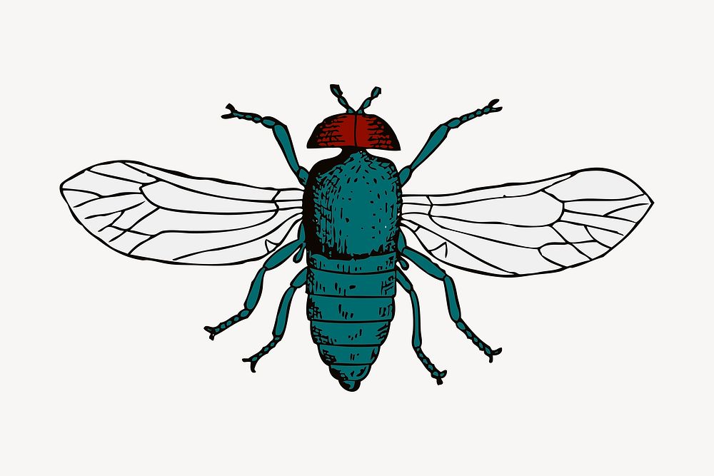 Insect collage element vector. Free | Free Vector - rawpixel