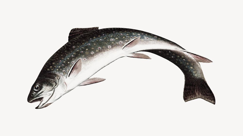 Fish realistic illustration desktop wallpaper | Premium Photo ...