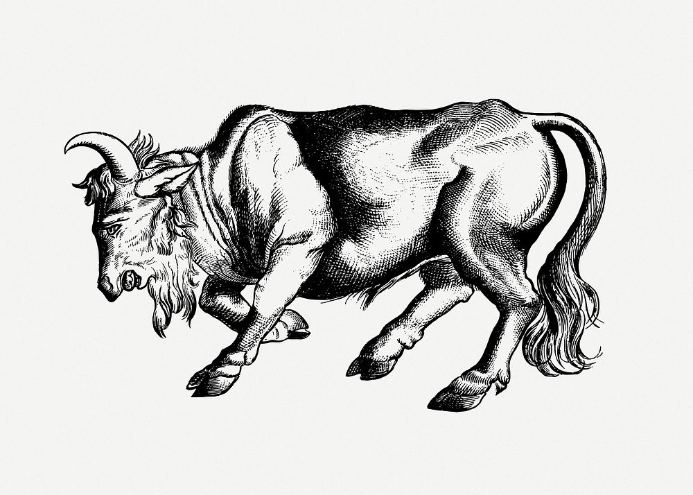Bull clip art psd | Free PSD - rawpixel
