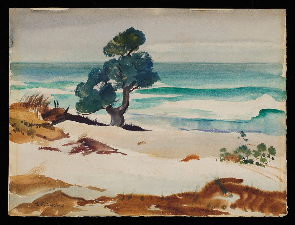 sand dunes, one tree ocean; | Free Photo Illustration - rawpixel