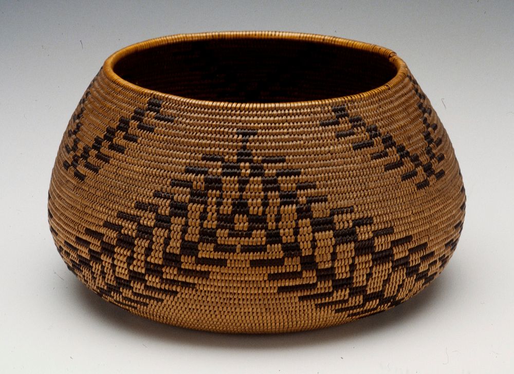 quail top knot design; base- | Free Photo - rawpixel