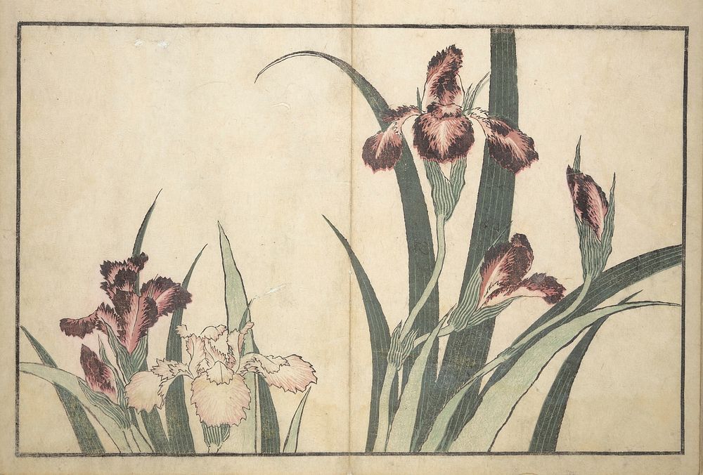 A Realistic Sketchbook by Hokusai | Free Photo - rawpixel