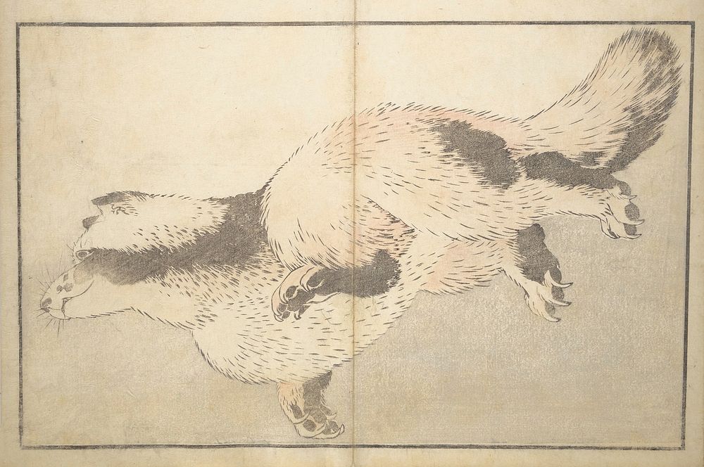 A Realistic Sketchbook by Hokusai | Free Photo - rawpixel