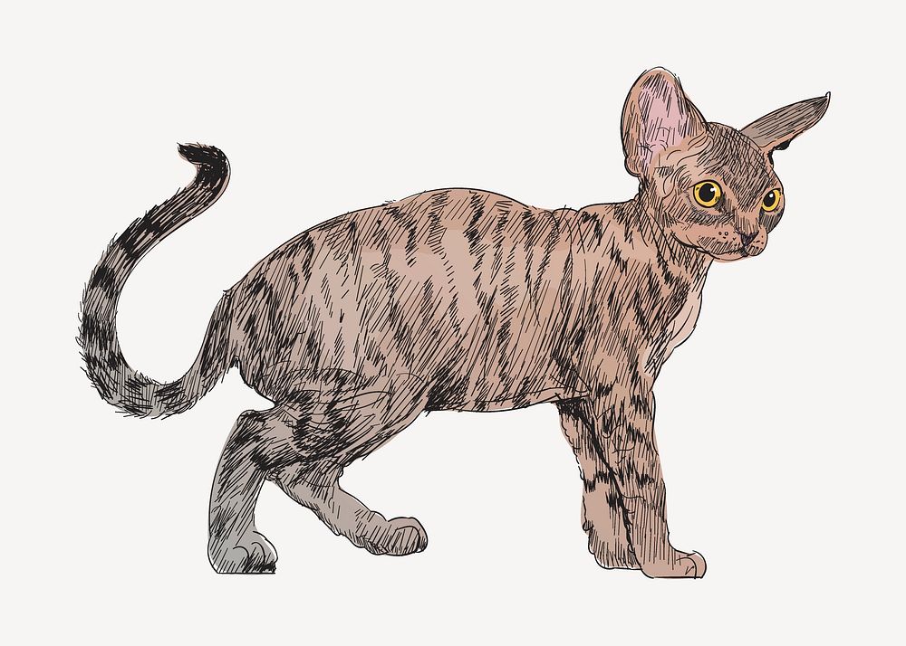 Devon Rex cat sketch animal | Premium PSD - rawpixel