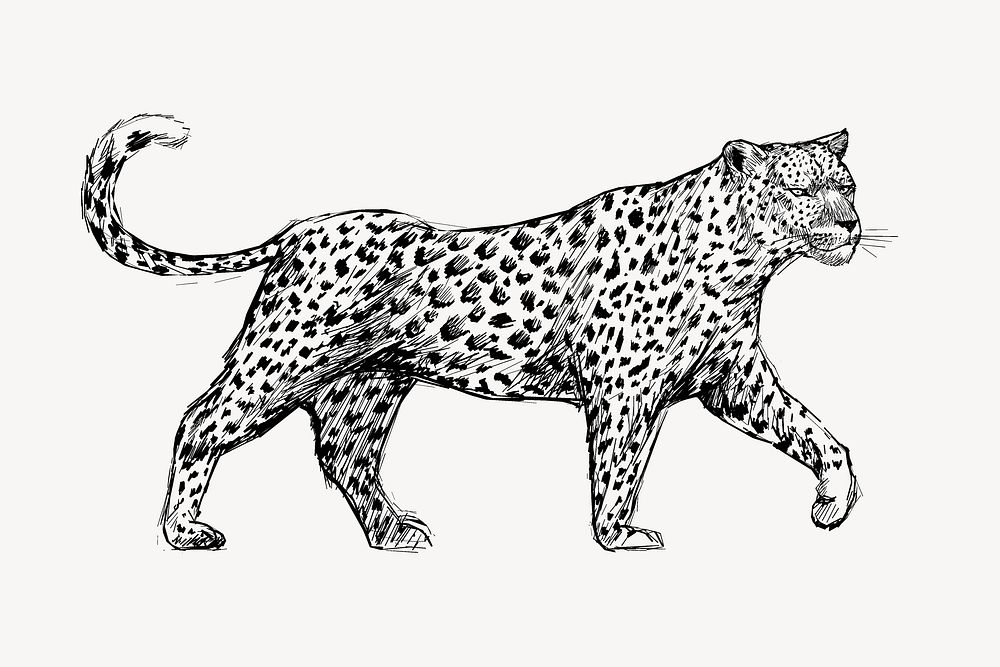 Leopard sketch animal illustration psd | Premium PSD - rawpixel