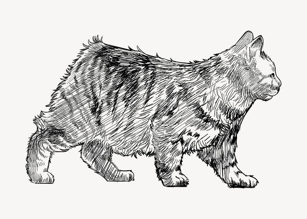 Manx cat sketch animal illustration | Premium PSD - rawpixel