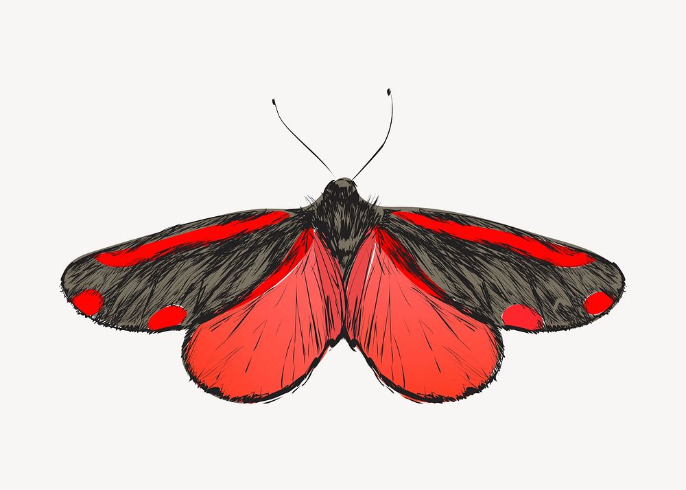 Cinnabar moth sketch animal illustration | Premium PSD - rawpixel