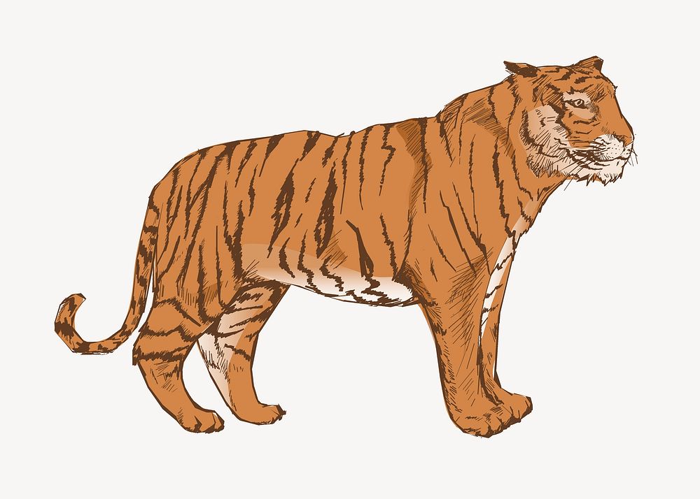 Orange tiger sketch animal illustration | Premium PSD - rawpixel