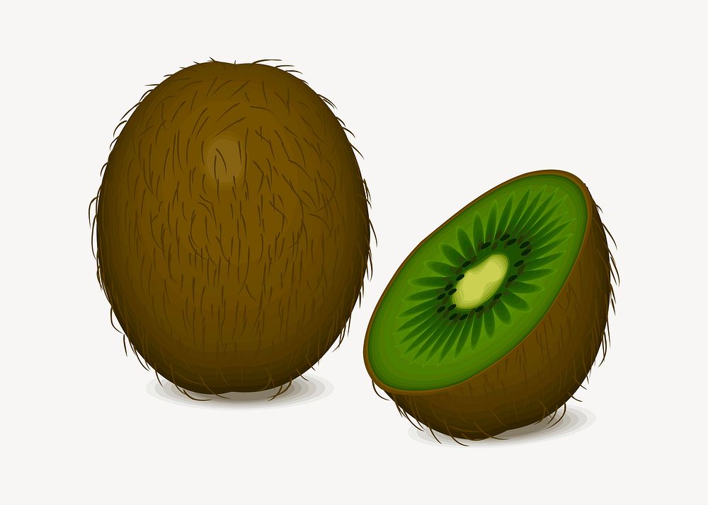 Kiwi illustration. Free public domain | Free Photo Illustration - rawpixel