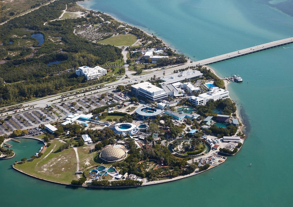 Aerial view Key Biscayne, Florida | Free Photo - rawpixel