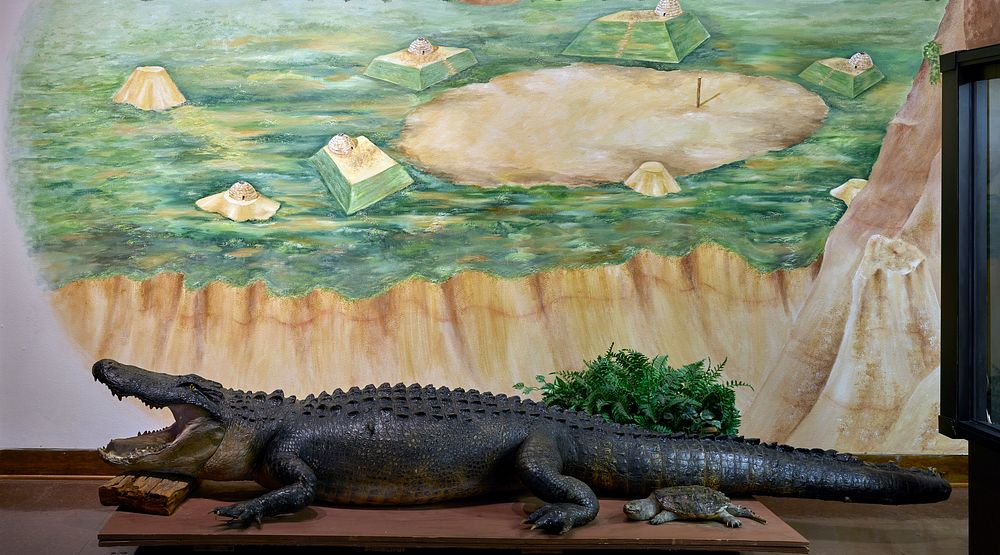 One 23 remarkable miniature dioramas | Free Photo - rawpixel