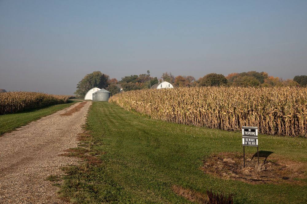 View cornfield farmstead Oriska Barnes | Free Photo - rawpixel