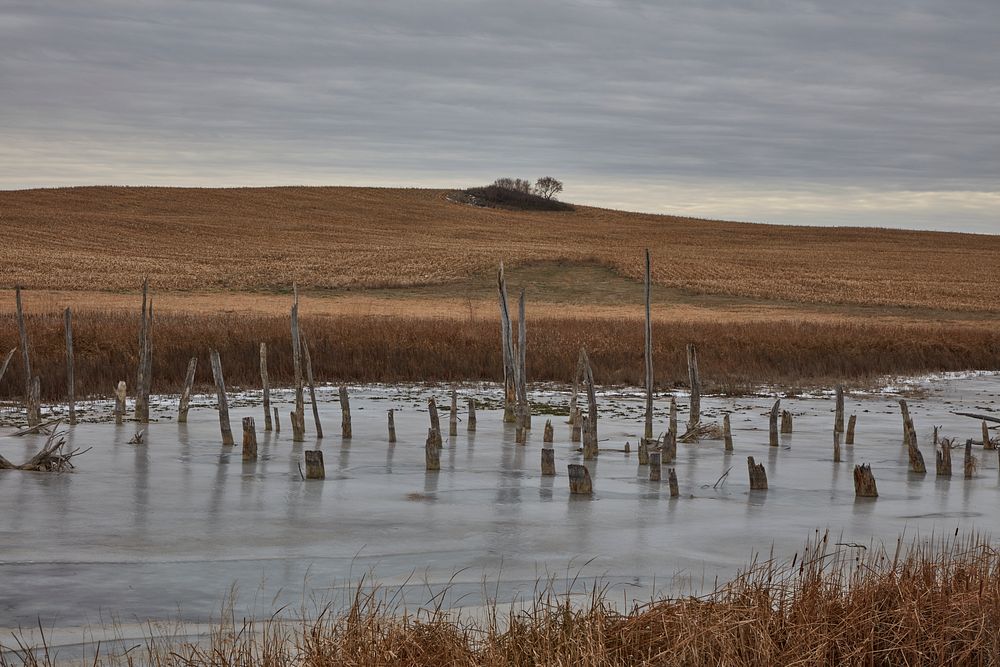 Late fall scene small lake | Free Photo - rawpixel