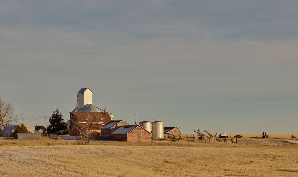 striking, compact farmstead grasslands Banner | Free Photo - rawpixel