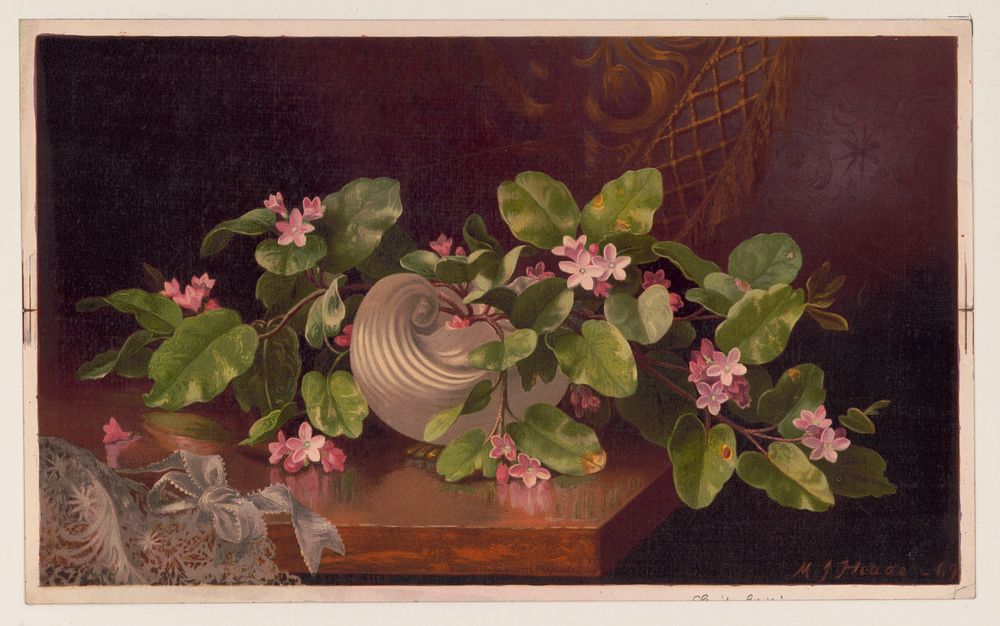 Flowers of hope | Free Photo Illustration - rawpixel