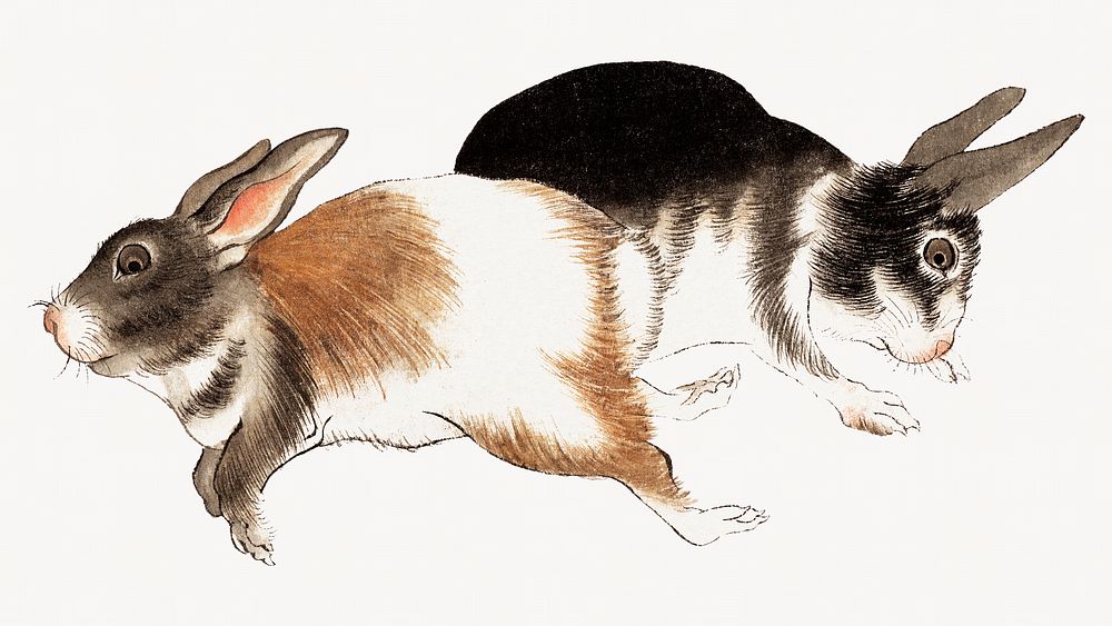 Japanese hares desktop wallpaper. Remastered | Premium Photo ...