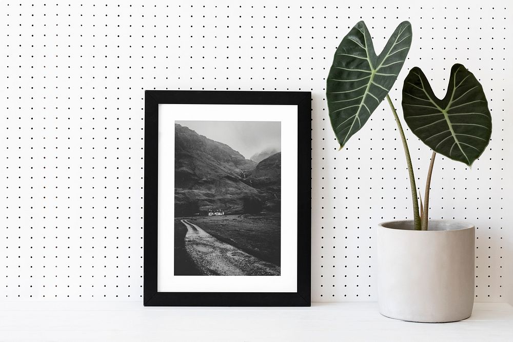 Aesthetic framed photo houseplant, home | Free Photo - rawpixel