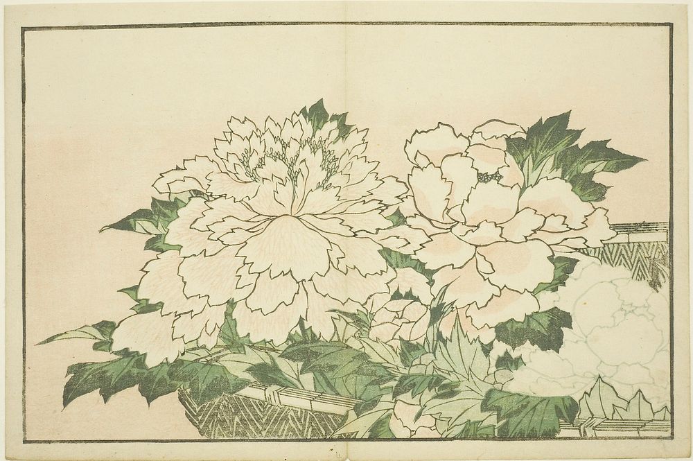 Hokusai's Chrysanthemums Basket, Picture Book | Free Photo - rawpixel