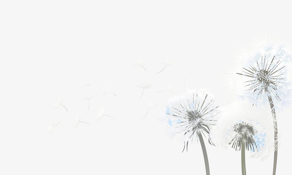 Dandelions flower illustration, border background | Premium Photo ...