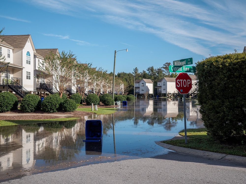 Hurricane flooding | Free Photo - rawpixel