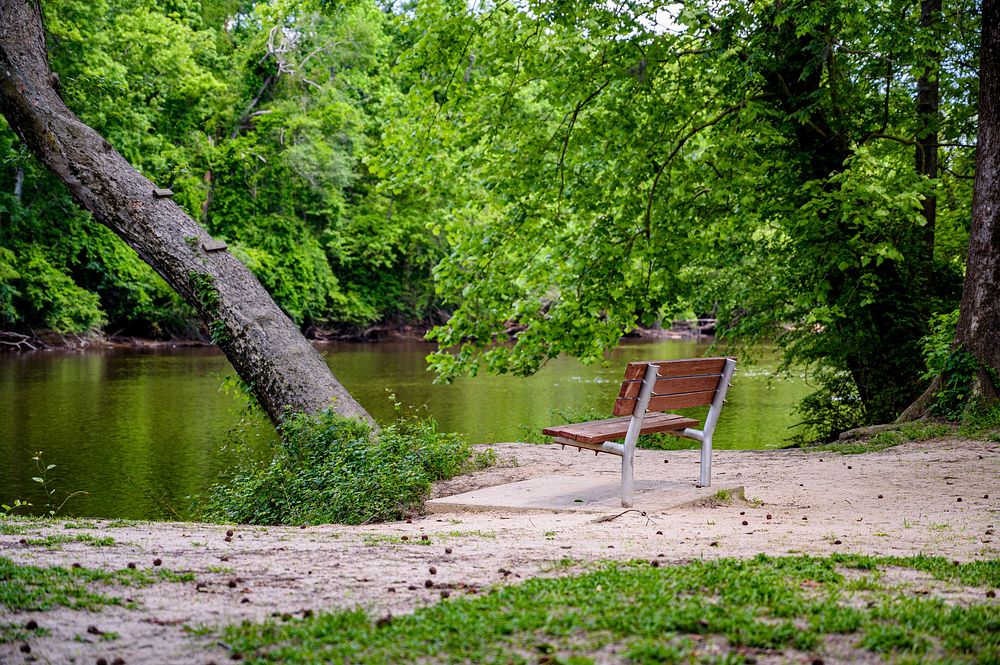 Park | Free Photo - rawpixel