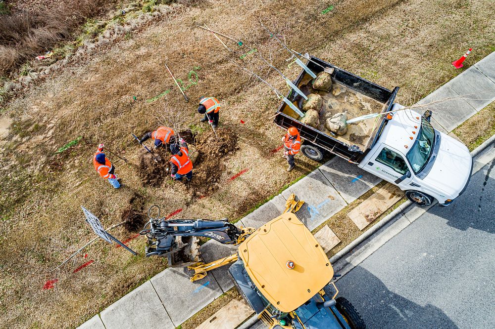 Tree Planting on Regency BlvdPublic | Free Photo - rawpixel