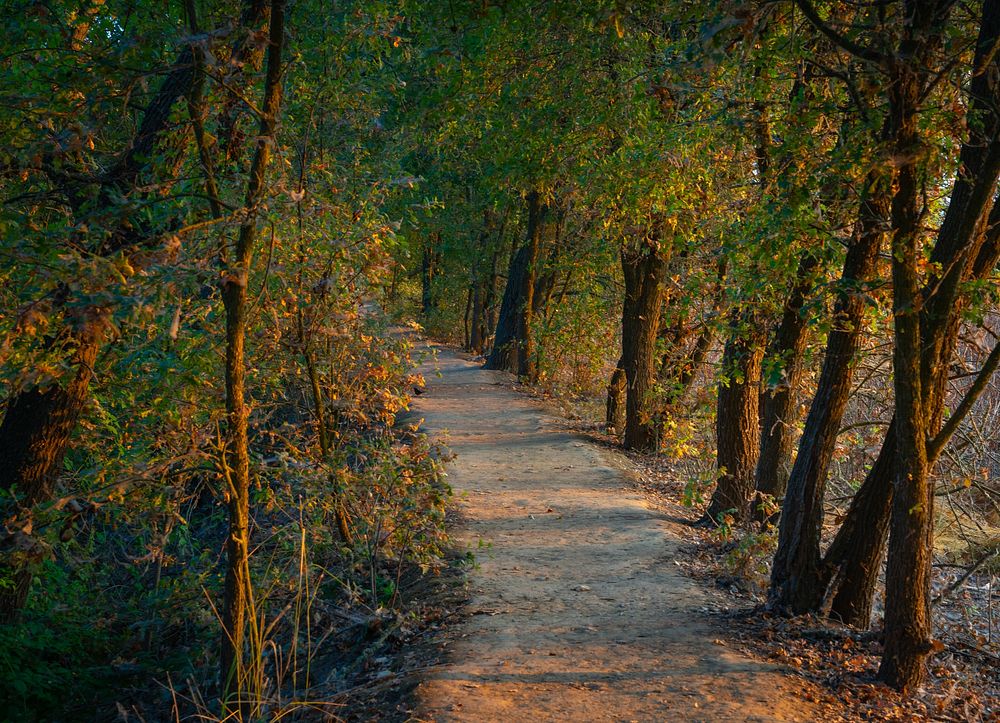 Cosumnes River PreserveThe Cosumnes River | Free Photo - rawpixel