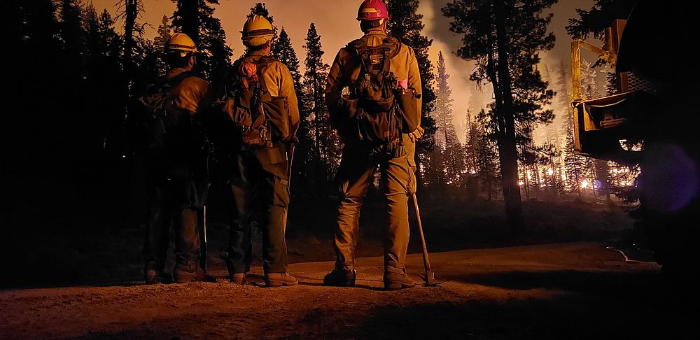 2021 BLM Fire Employee Photo | Free Photo - rawpixel
