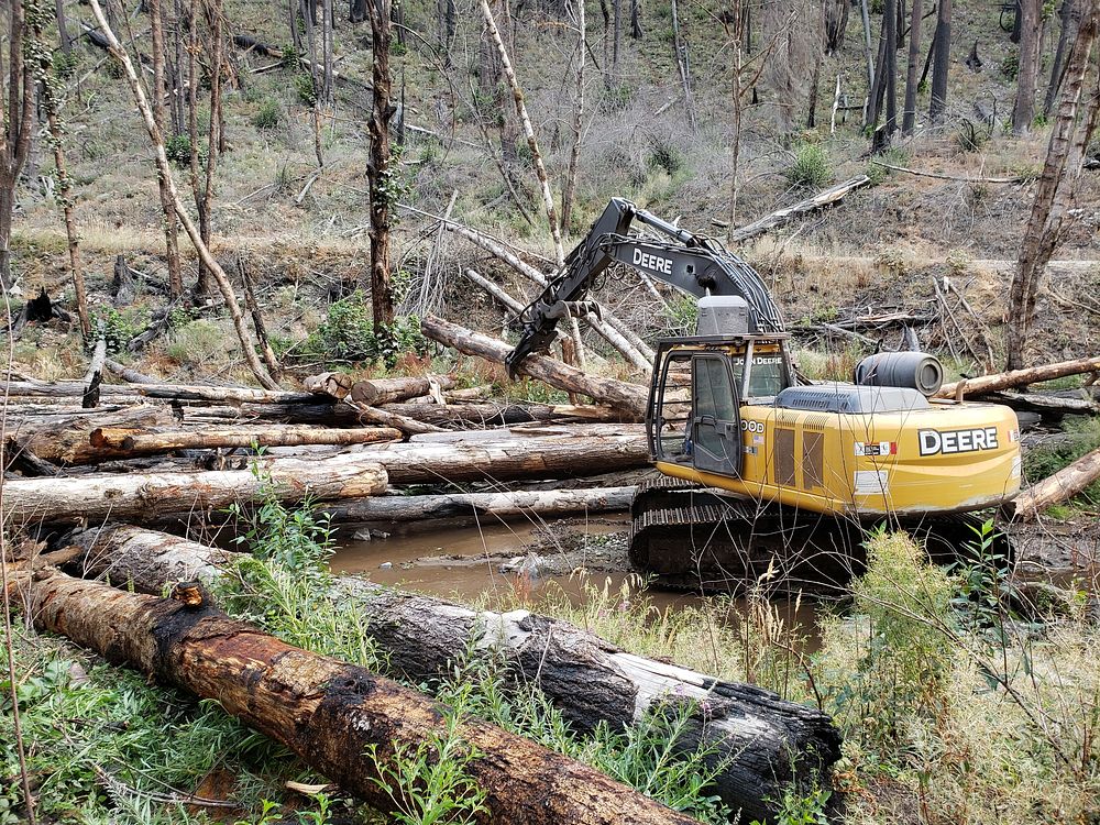 Placing LWD perspective riparian areaPlacing | Free Photo - rawpixel