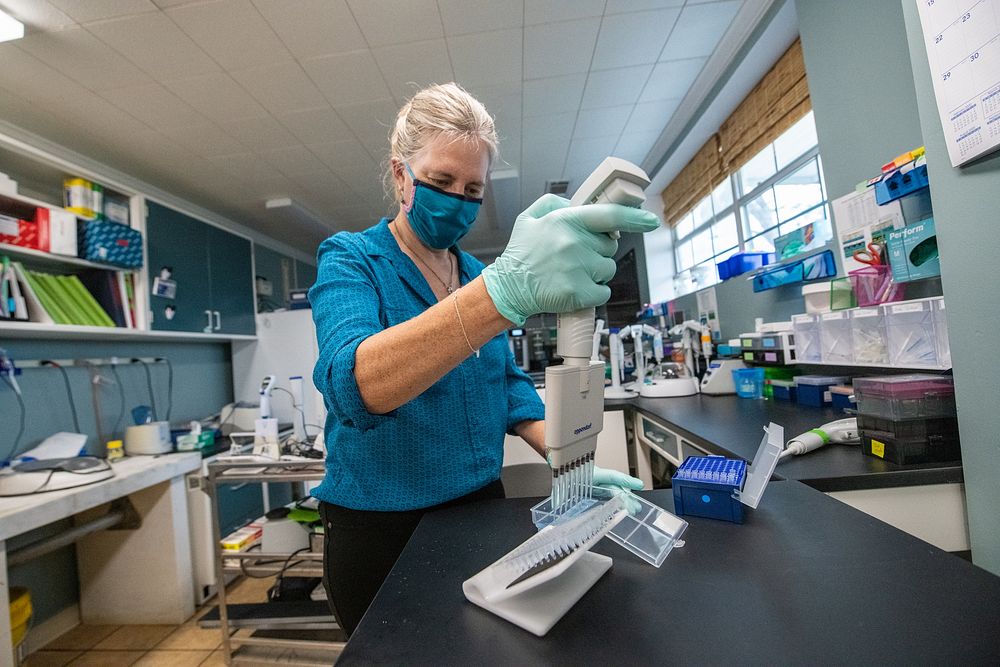 U.S. Department Agriculture USDA Agricultural | Free Photo - rawpixel