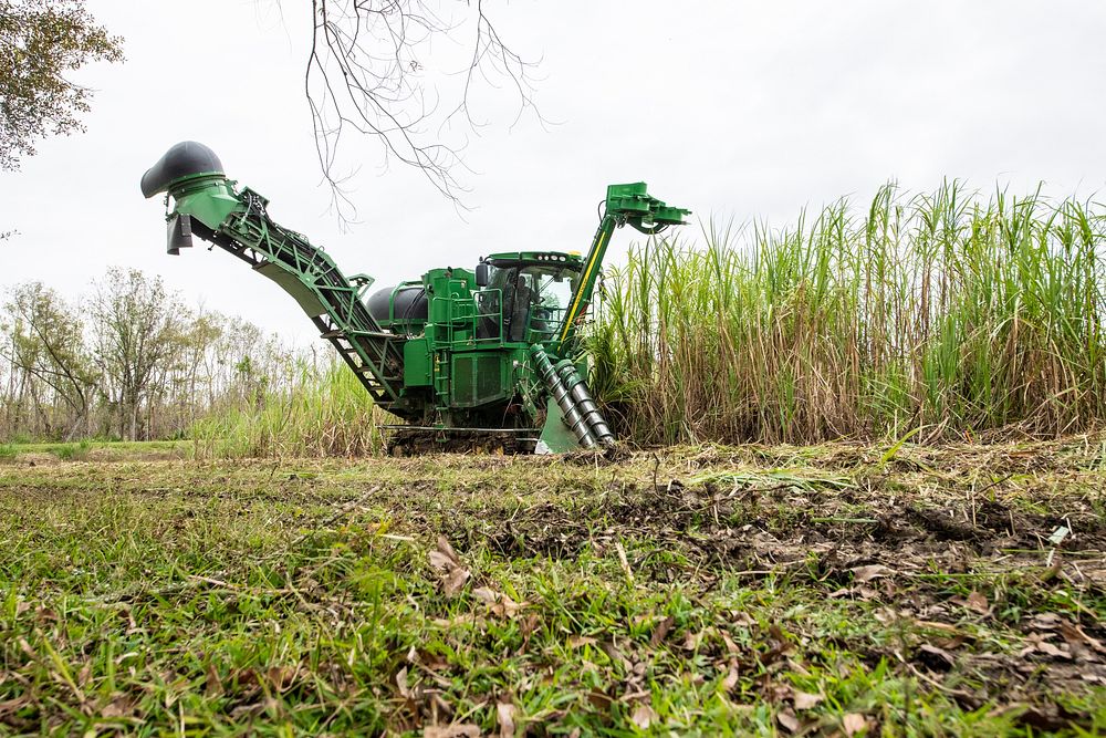 U.S. Department Agriculture USDA Agricultural | Free Photo - rawpixel