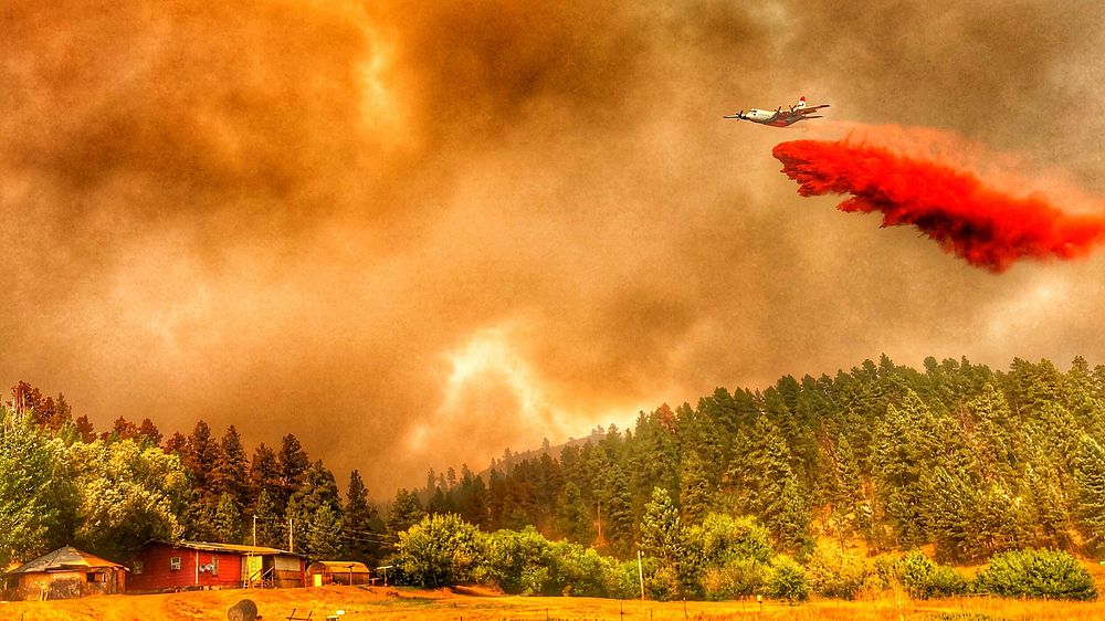 2021 USFWS Fire Employee Photo | Free Photo - rawpixel