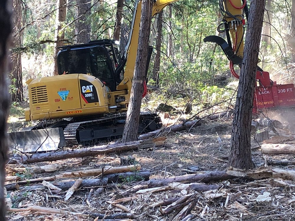 Treatments with a masticator were | Free Photo - rawpixel