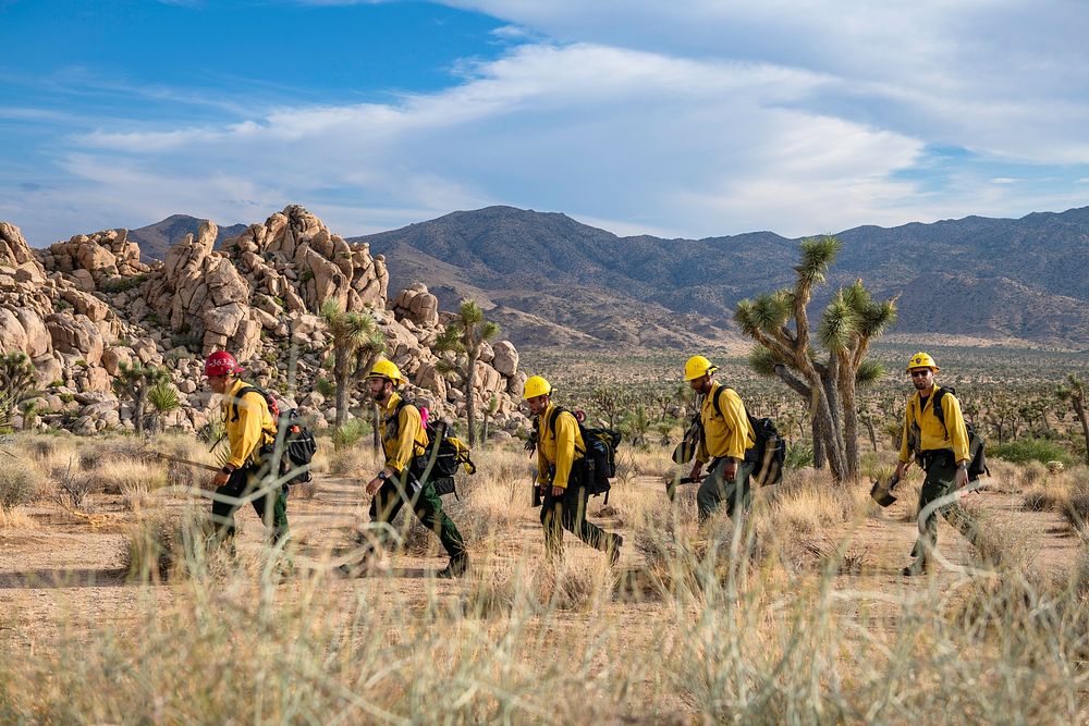 Wildland fire crew patrolling Quail | Free Photo - rawpixel