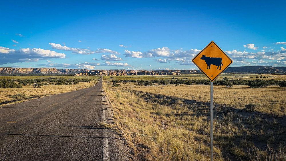 Gilbert Louis Jr. and his | Free Photo - rawpixel