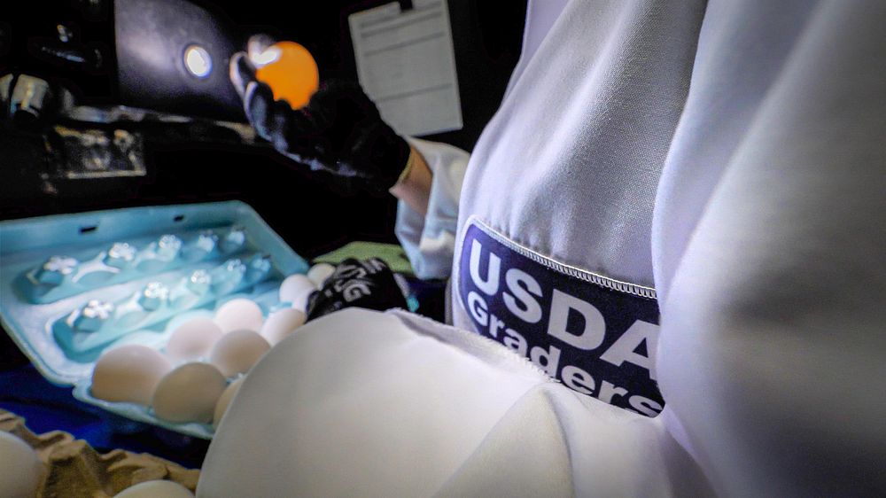 USDA Agricultural Marketing Service (AMS)Â | Free Photo - rawpixel