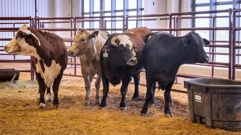 USDA Agricultural Marketing Service (AMS) | Free Photo - rawpixel