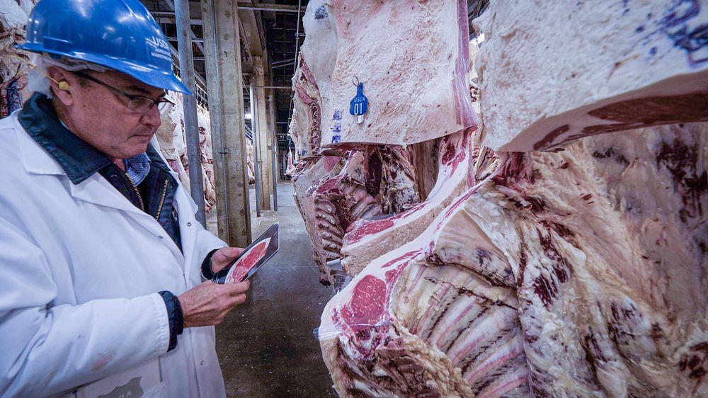 USDA Agricultural Marketing Service (AMS)Â | Free Photo - rawpixel