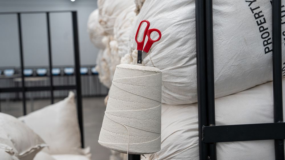 Cotton grading process | Free Photo - rawpixel